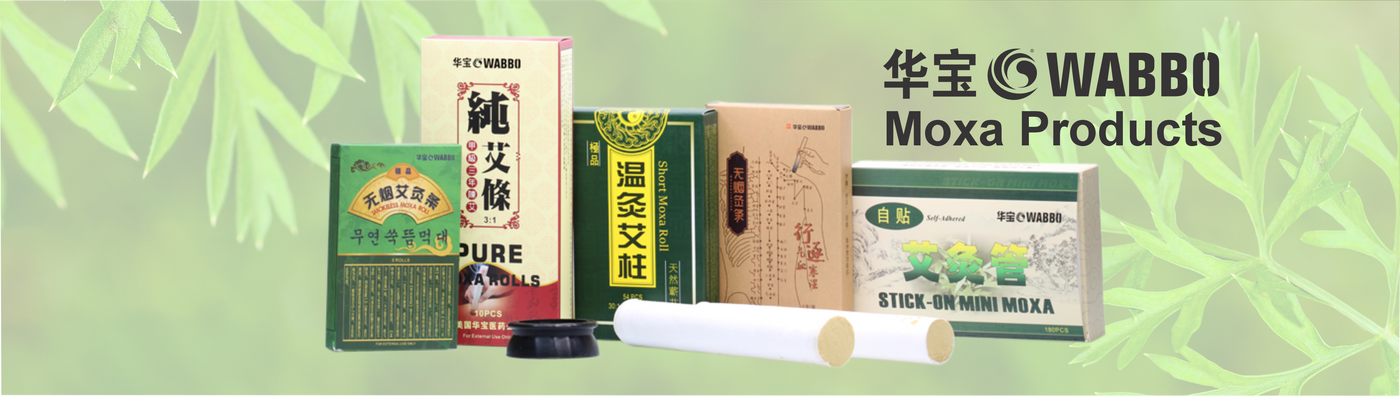 Top-Rated Acupuncture Equipment Supplies | Buy Acupuncture| WABBO